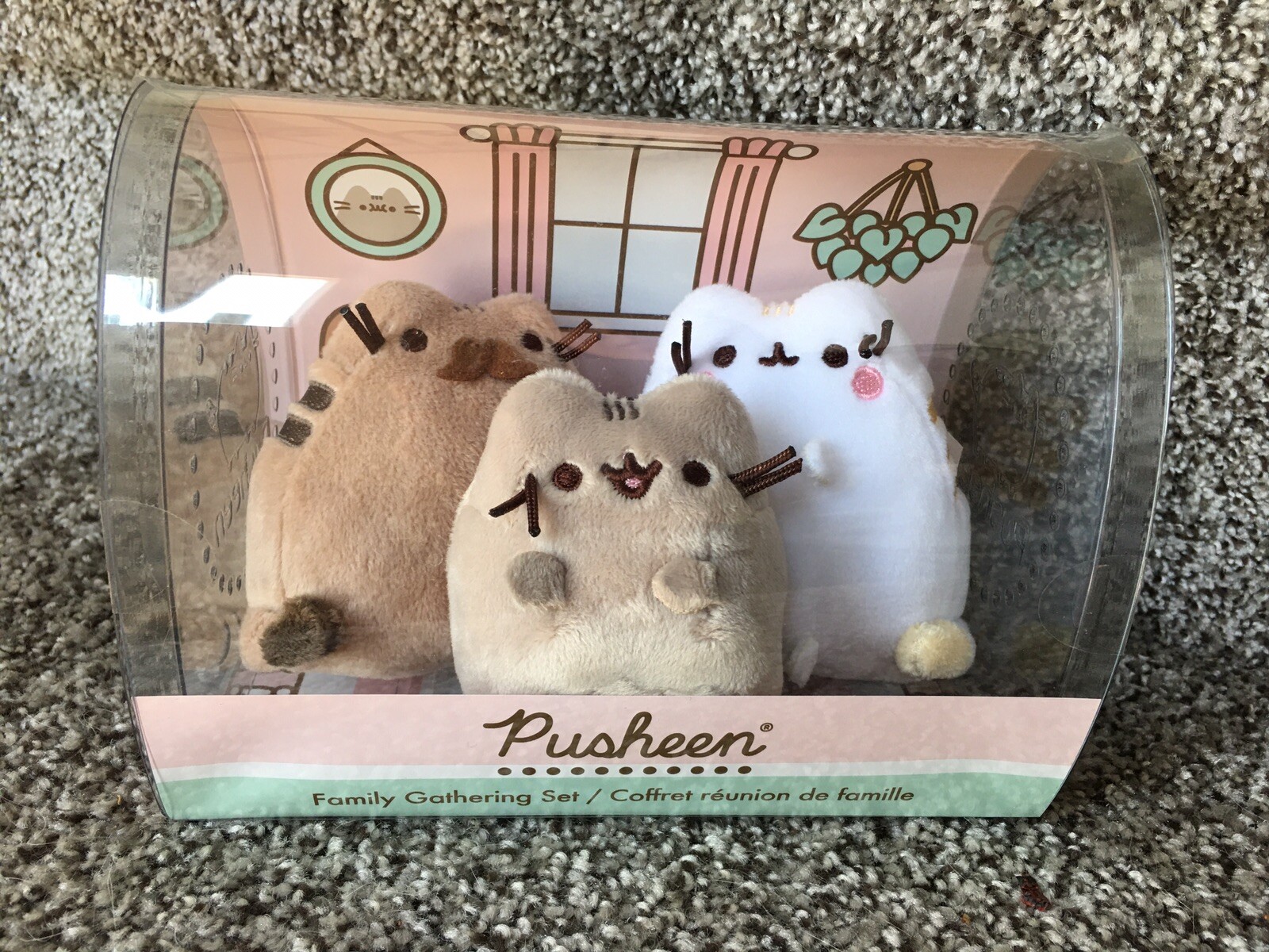 Pusheen Family
