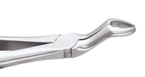 DENTAL INSTRUMENT FORCEPS UPPER ROOTS THIRD MOLARS STANDARD FX67AS ...