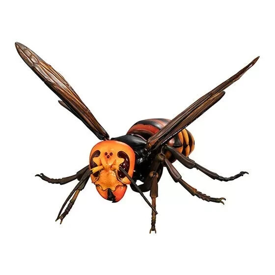 The Diversity of Life on Earth Advance Wasp Hornet 02 Figure Bandai ...