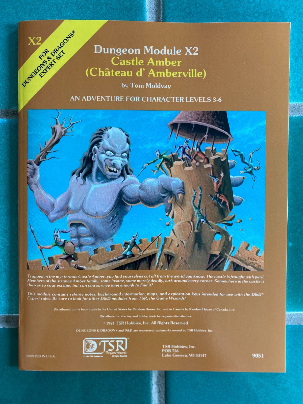 D&D X2 - Castle Amber (Château d’ Amberville) - TSR 9051 - PBR for sale ...