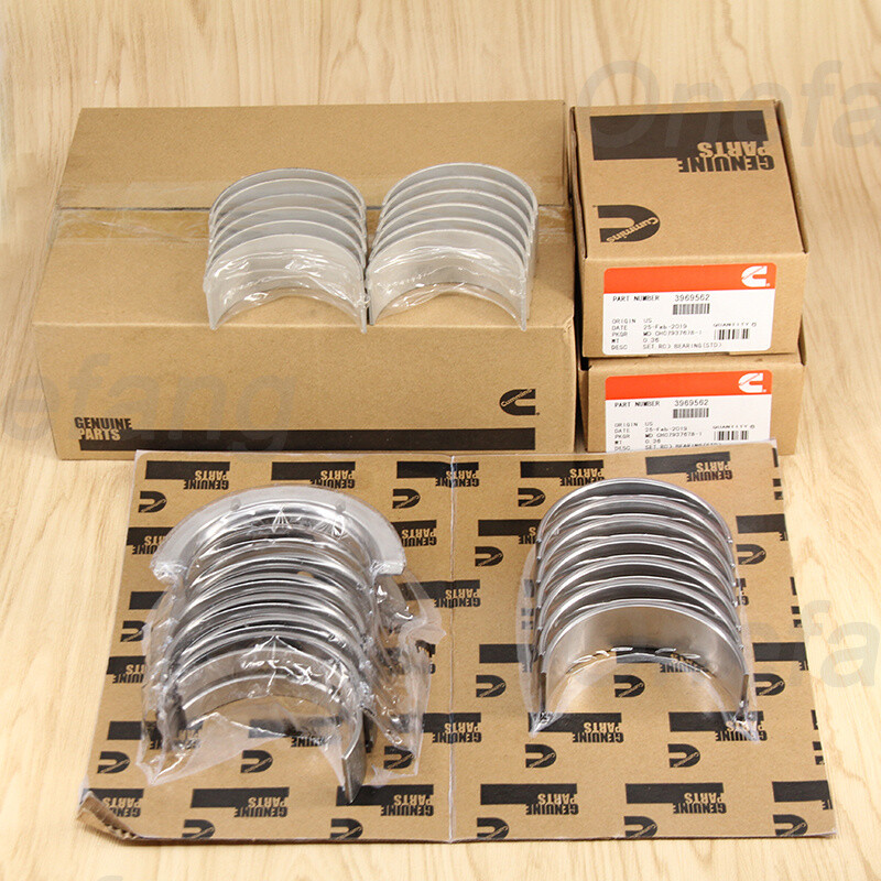Rod Main Bearing Standard 89-02 For Dodge 5.9L Diesel Cummins 3969562 ...