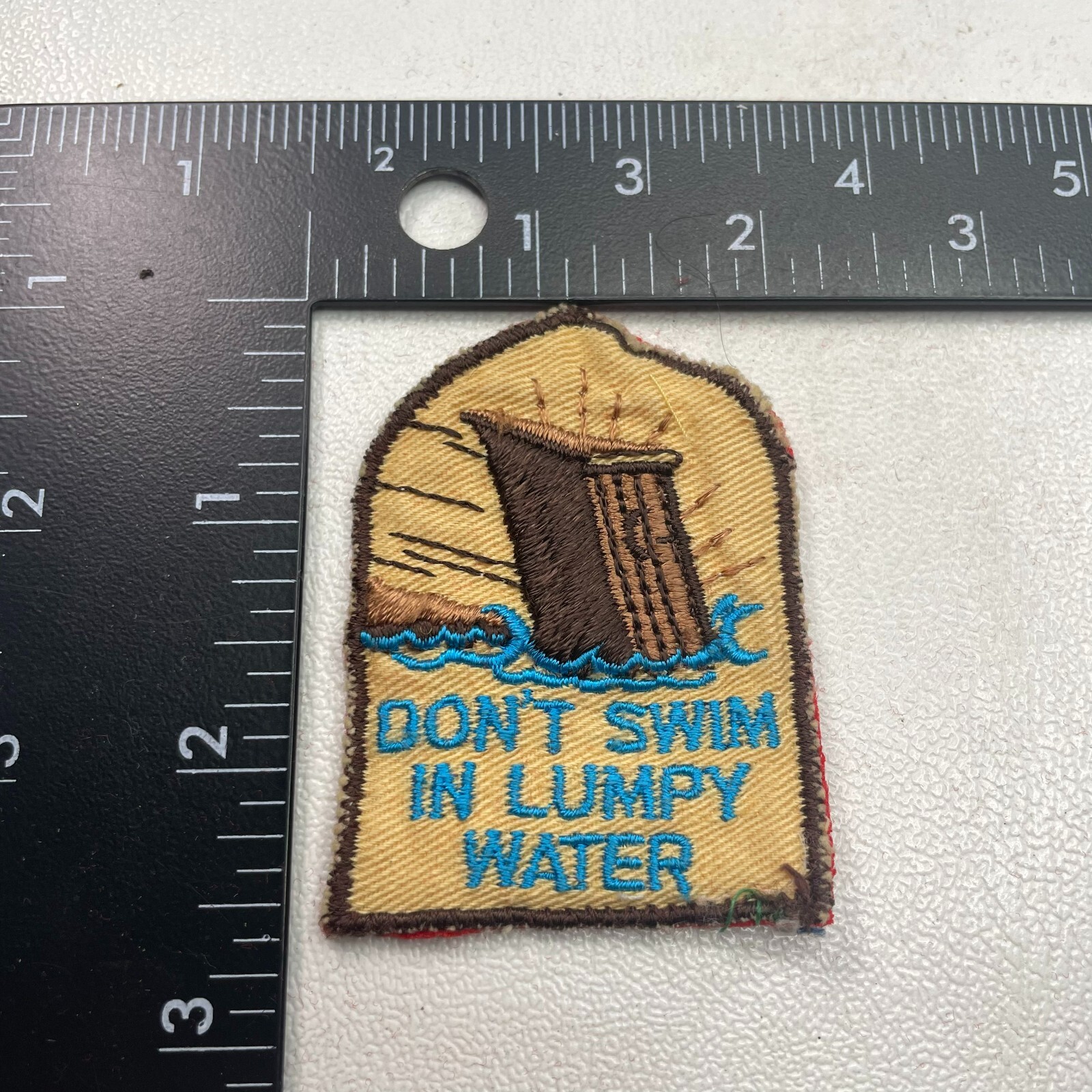 Vintage c 1970s DON'T SWIM IN LUMPY WATER Patch (Gross, Poop, Outhouse ...