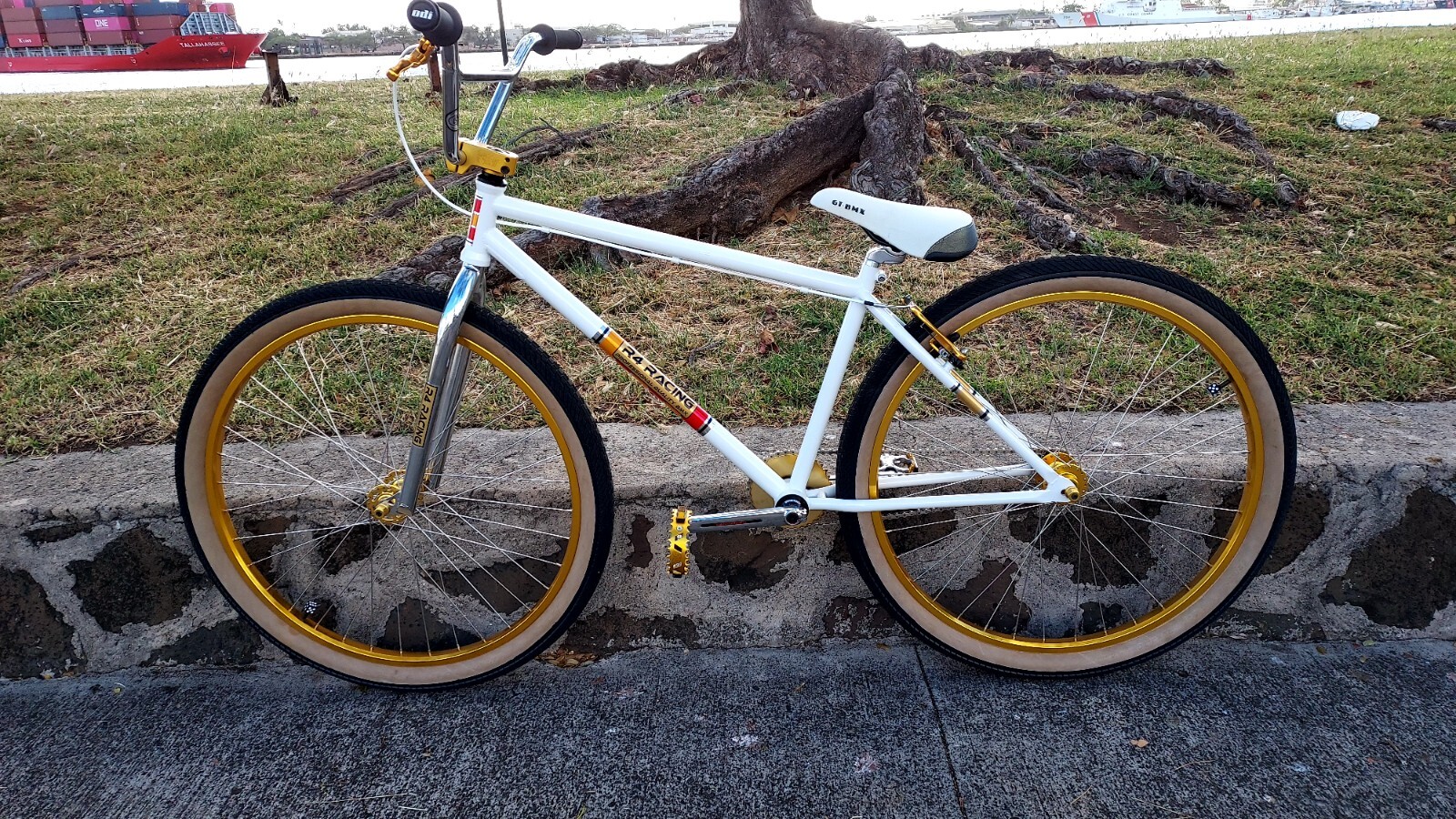 R4 Products 29 Inch BMX Cruiser | eBay