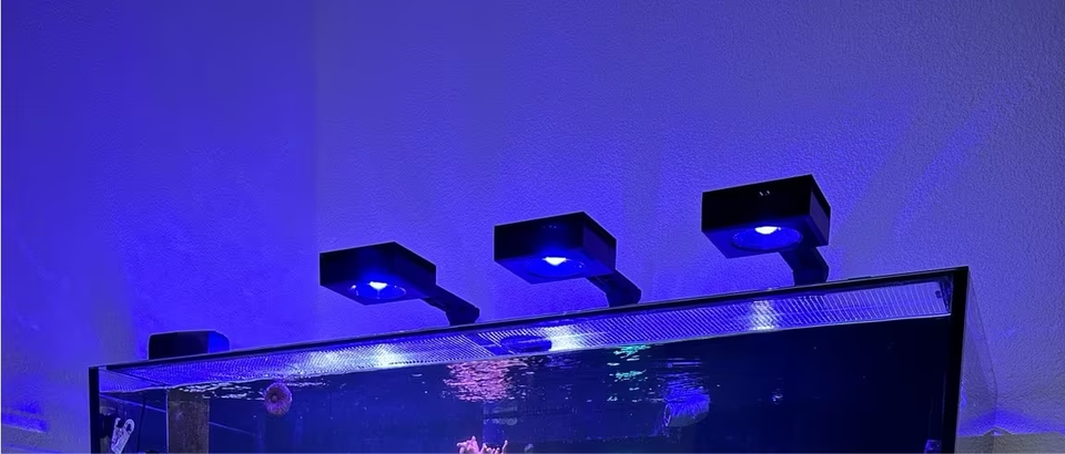Red Sea ReefLED 90 Saltwater Aquarium Light Reef App Control W/Mount (Pre-Owned) | eBay