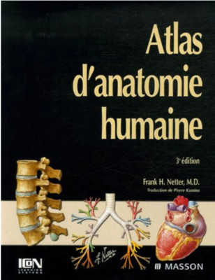 Atlas d'anatomie humaine [ Frank Netter ] | eBay