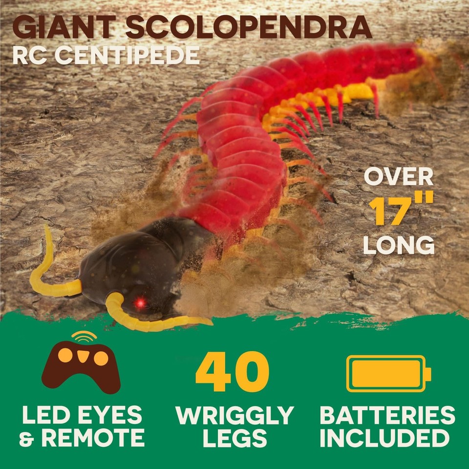 Remote Control Centipede Toy for Kids – RC Giant Scolopendra with LED ...