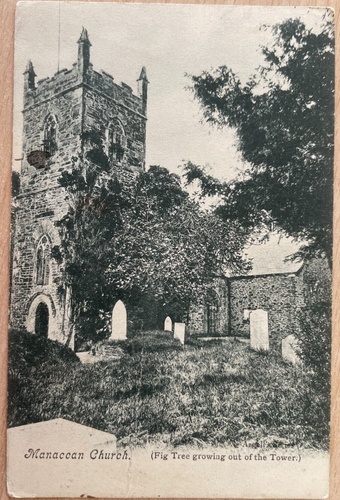 MANACCAN CHURCH (FIG TREE GROWING FROM THE TOWER) 1914 EARLY POSTCARD ...