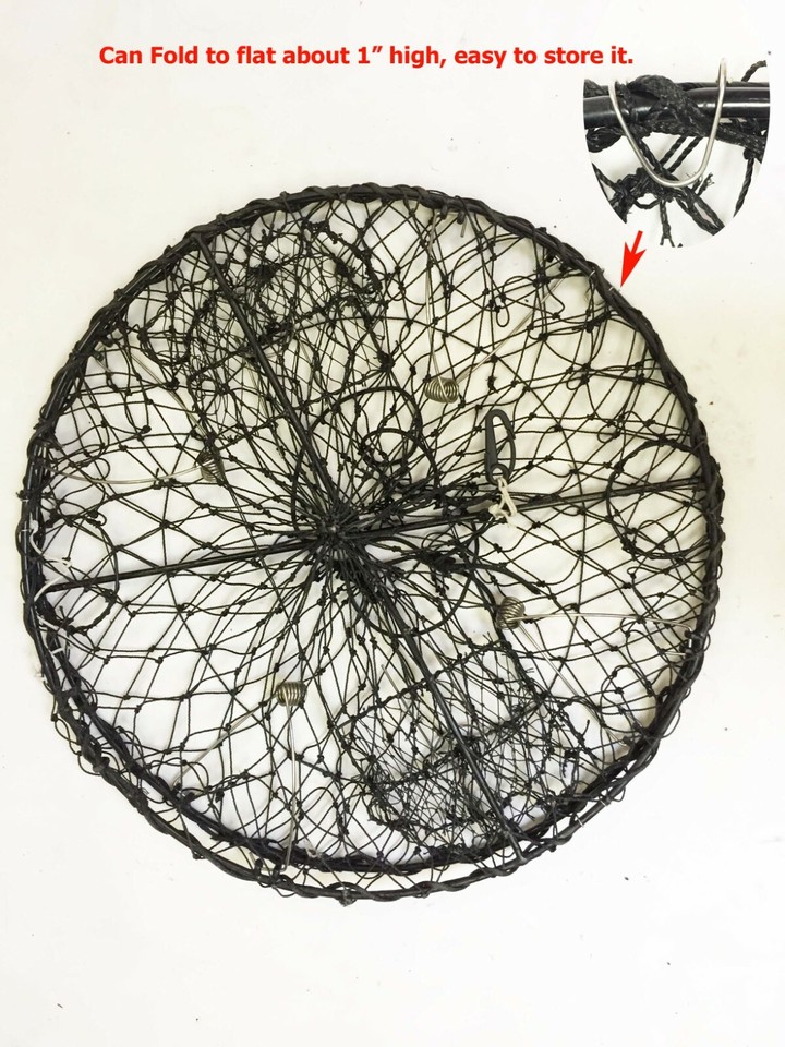 KUFA CT50 Sports Foldable Crab Trap with 2 ramped entrance (30"x10"H ...