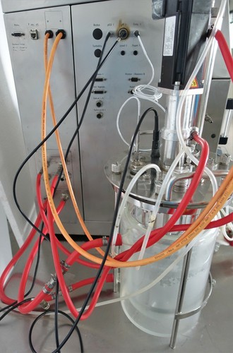 SARTORIUS BIOSTAT B PLUS BENCHTOP FERMENTOR/ BIOREACTOR 8843414 w 5L ...