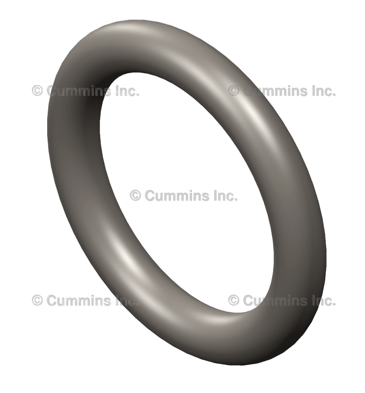 CUMMINS O-Ring Seal 3678925 | eBay