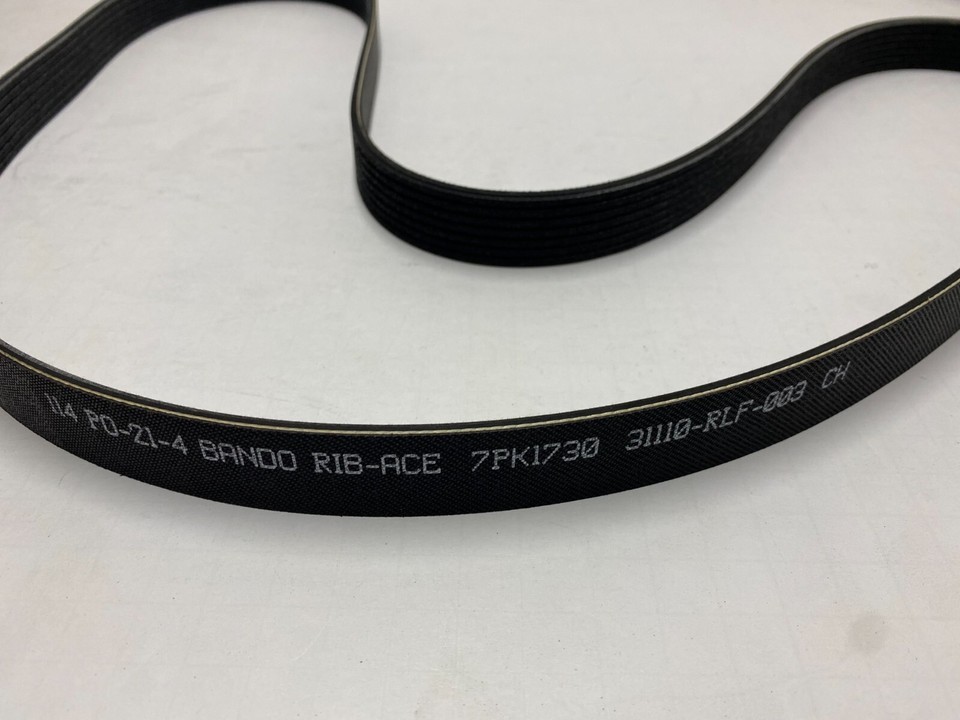 1Pc NEW OEM Serpentine Belt 31110-RLF-003 2002-2006 | eBay