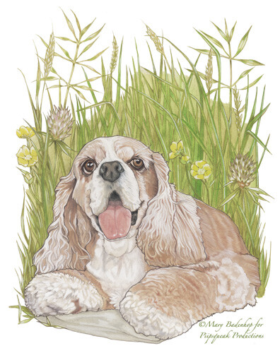 Cocker Spaniel Note Cards Set of 10 cards & 10 envelopes | eBay