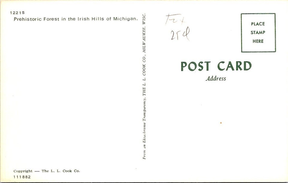 Prehistoric Forest, IRISH HILLS, Michigan Chrome Postcard | eBay