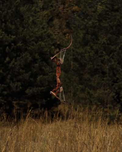 Oneida Eagle Special Edition 20th Anniversary Osprey RH Wood Medium | eBay