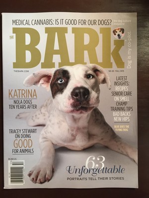 Bark Katrina Dogs Unforgettable Portraits Training Tips Fall 2015 FREE ...