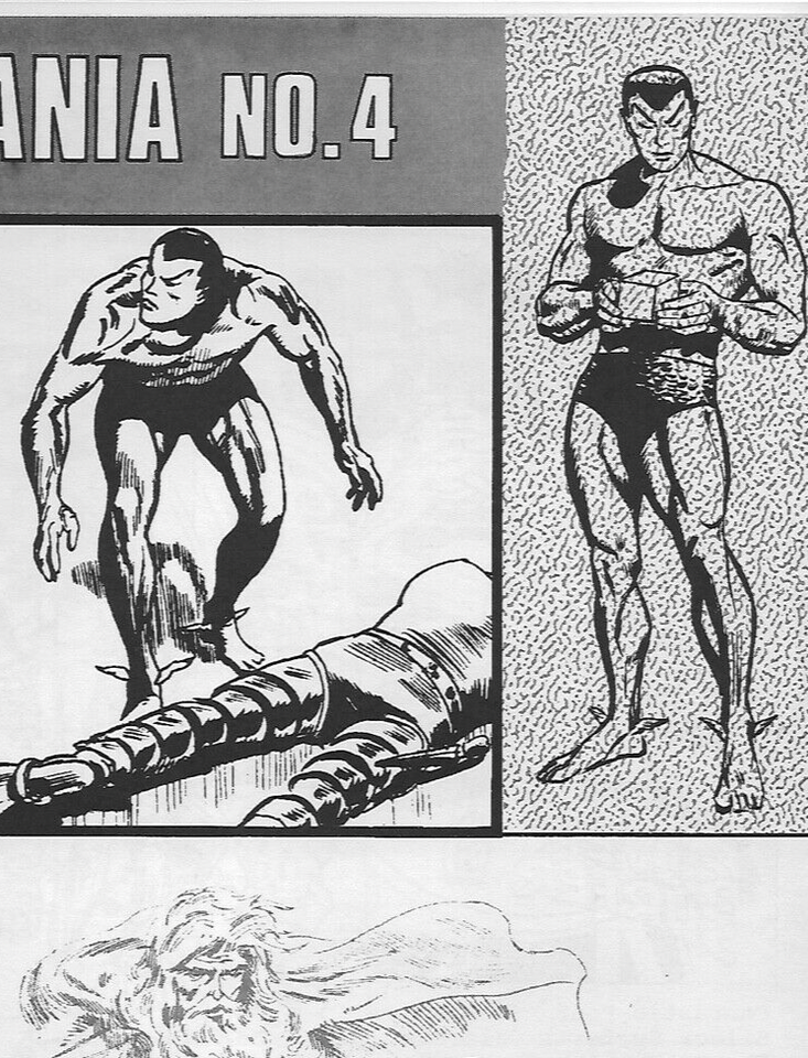 Marvelmania Magazine #4 1970 Marvel Comics Spiderman Hulk Harlan ...