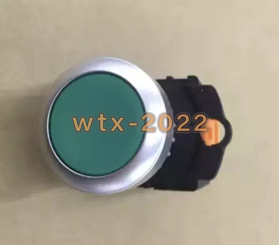 1PCS NEW FOR TEND Flat head push button switch TN2BFG-1A | eBay