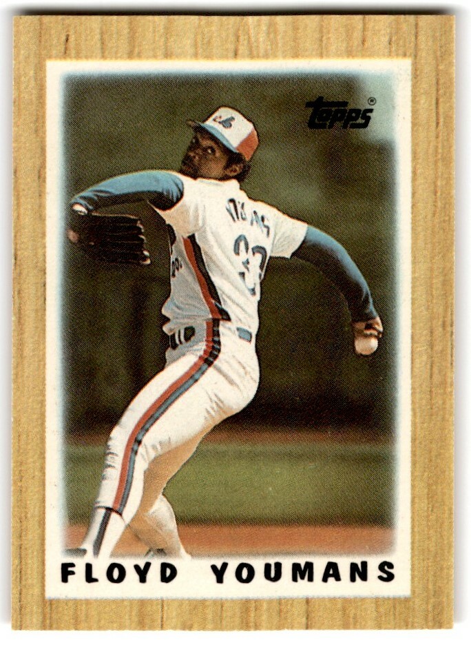 1987 Topps Major League Leaders Minis Floyd Youmans Montreal Expos #19 ...