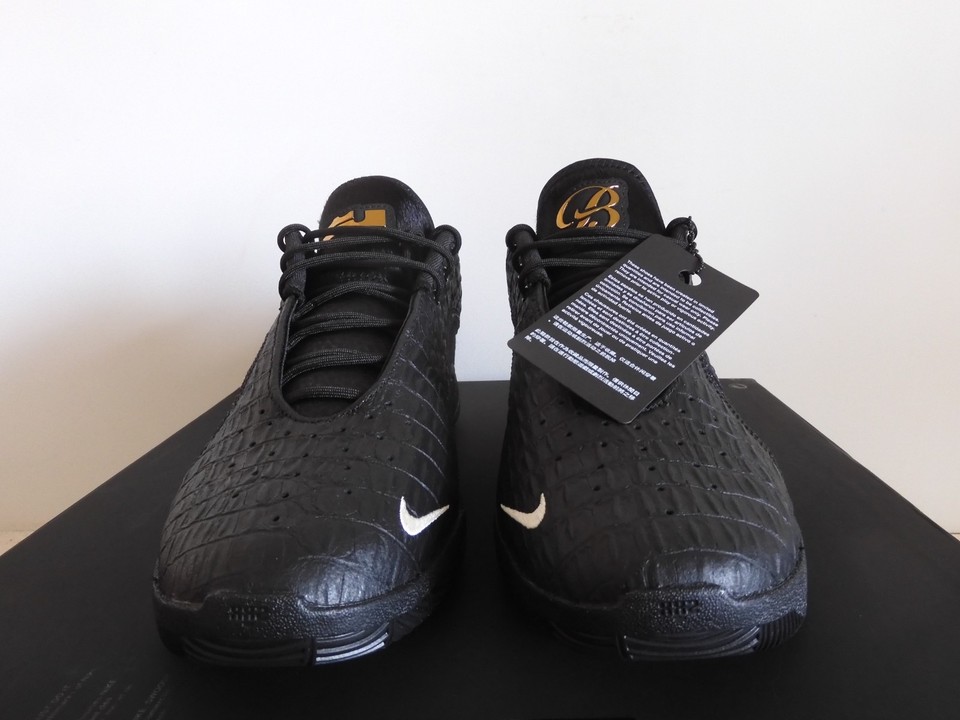 Nike LeBron XXII 22 Black Label Triple Black Mens Rare [IB3866-001] | eBay
