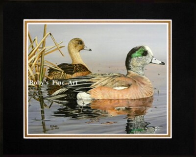 Matted "Wigeons" Duck Art Print 11"x14" Mat by Waterfowl Artist Roby ...