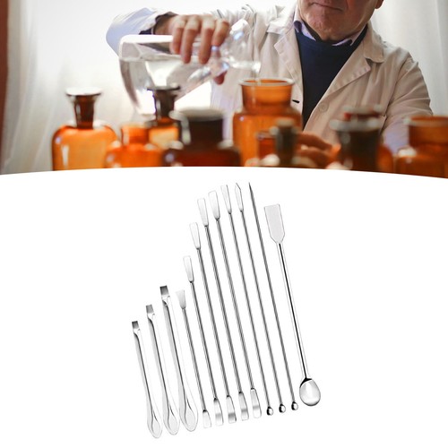 12Pcs Laboratory Spatula 304 Stainless Steel Sampling Scoop Experiment ...