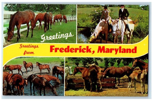 c1960 Greetings From Frederick Maryland MD Multi-View Banner Vintage ...