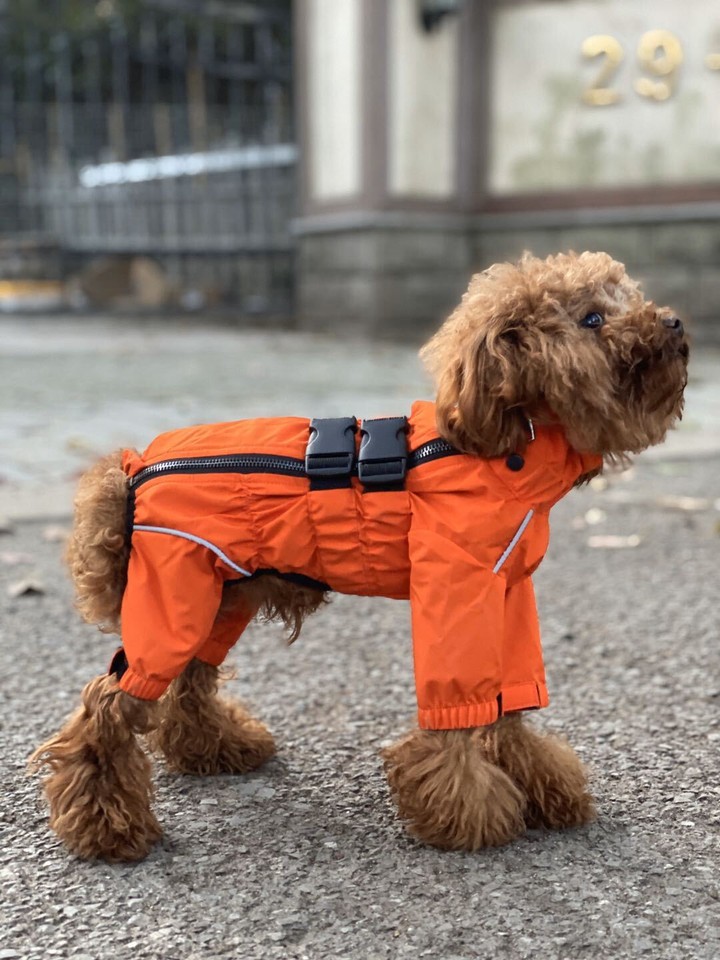 Dogs Waterproof Jacket, Lightweight Dog Raincoat, Windproof Snow-Proof ...
