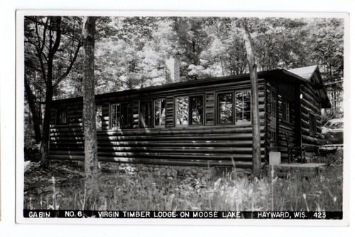 Hayward, WI Wisconsin old RPPC Postcard, Virgin Timber Lodge, Moose ...