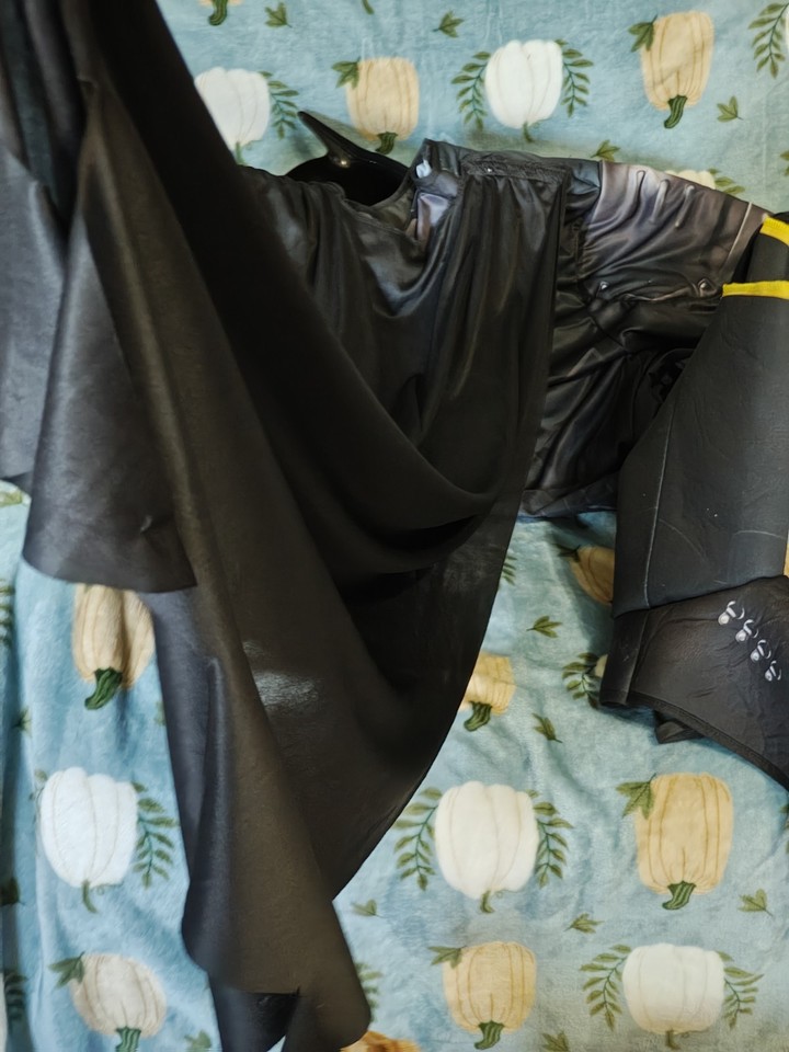 Batman Adult Male Halloween Costume One Size mask, cape, boot covers ...