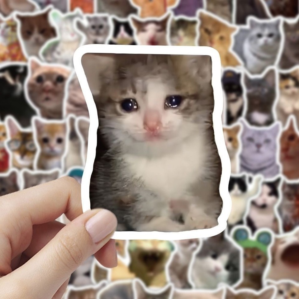 100pcs Waterproof MEME Graffiti Stickers Self-Adhesive DIY Decals ...