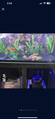 75 Gallons Tank With Stand , Canister Filter , RGB Light, Heater, Wave ...