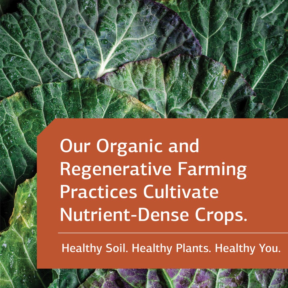 Standard Process Ligaplex II Whole Food RNA Supplement, 150 Capsules | eBay