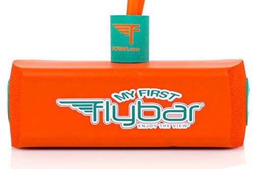 My First Flybar Jump & Squeak Foam Pogo Hopper Jumper for Kids 3 and Up ...