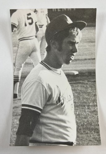 Greg Herman St. Louis Cardinals Vintage Baseball Postcard PCSC | eBay