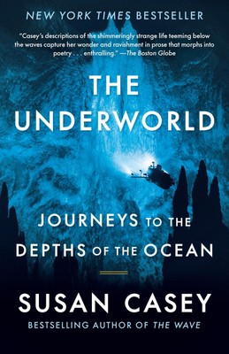 The Underworld: Journeys to the Depths of the Ocean 9781984898869| eBay