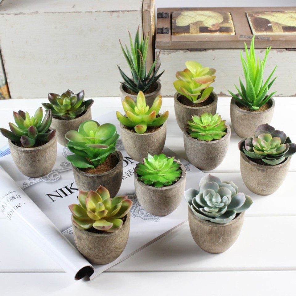 Kunstlicher Pflanzen Artificial Fake Sukkulent Simulationsanlagen | eBay