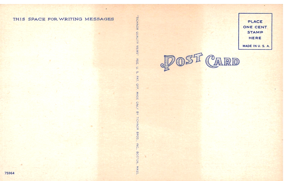 Pinup Glamour Girl in Risque Lingerie Alive & Kicking Vtg Linen ...