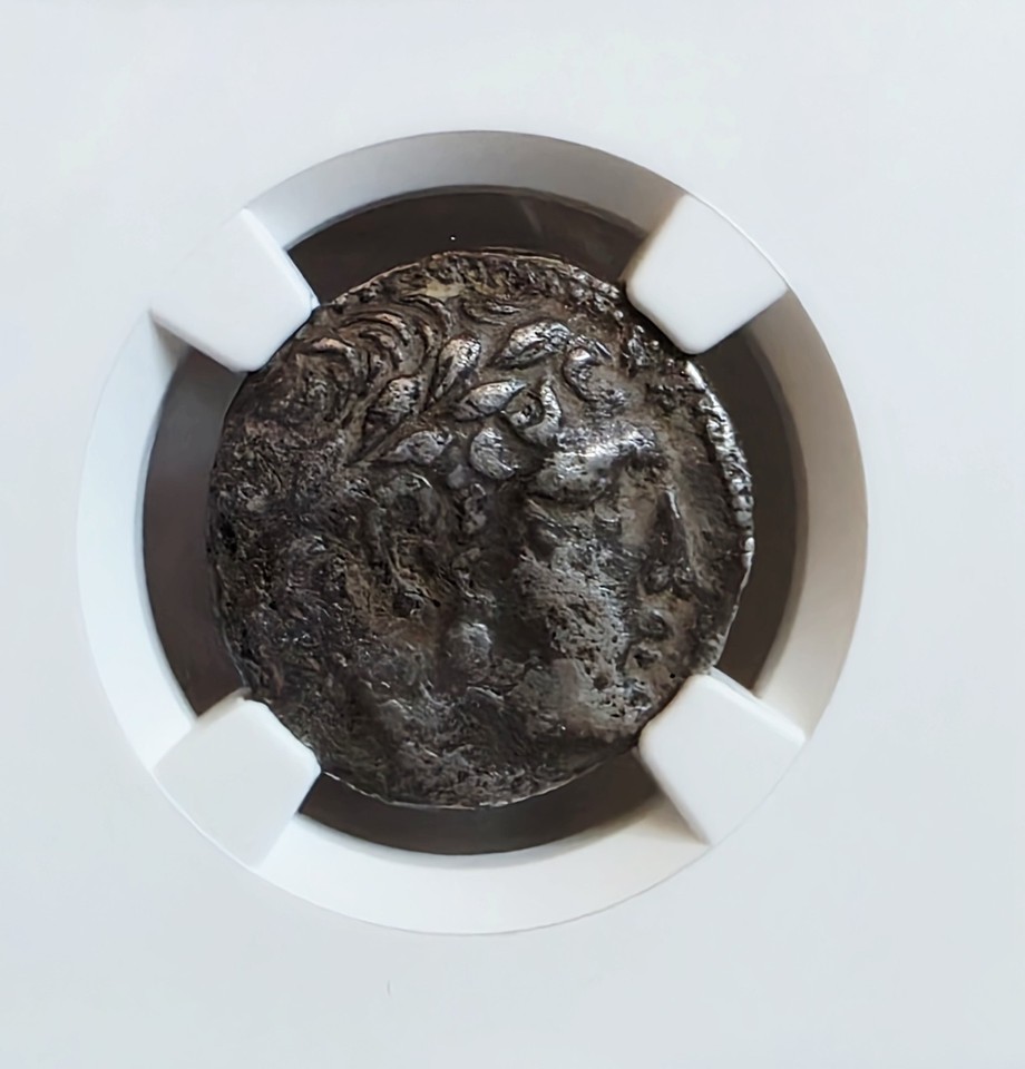 Phoenicia Tyre Shekel Lifetime Issue NGC CH VF Ancient Coin | eBay