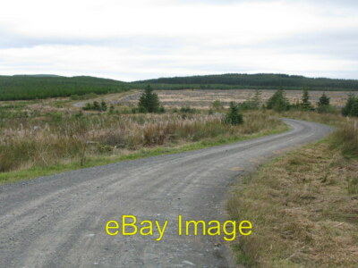 Photo 6x4 Forest Track Carrick Forest This track through an area of ...