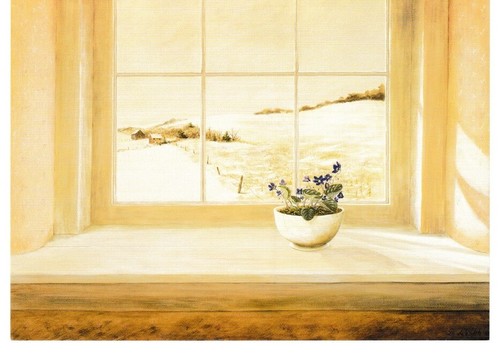 Brand new George Losch art postcard MIldred's Violets Juniata Co PA ...