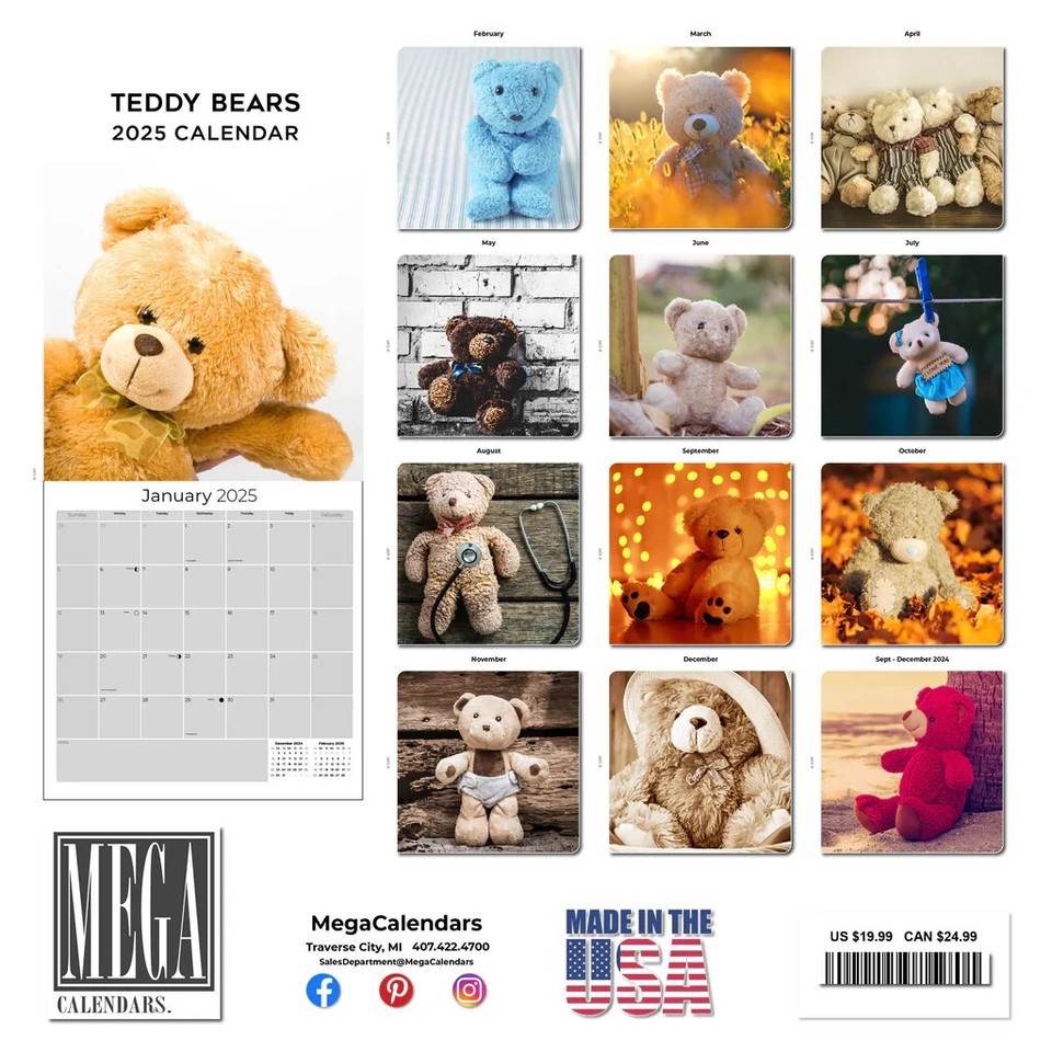TEDDY Bears Wall Calendar 2025 Plush Lover Gift Beautiful Photos ...