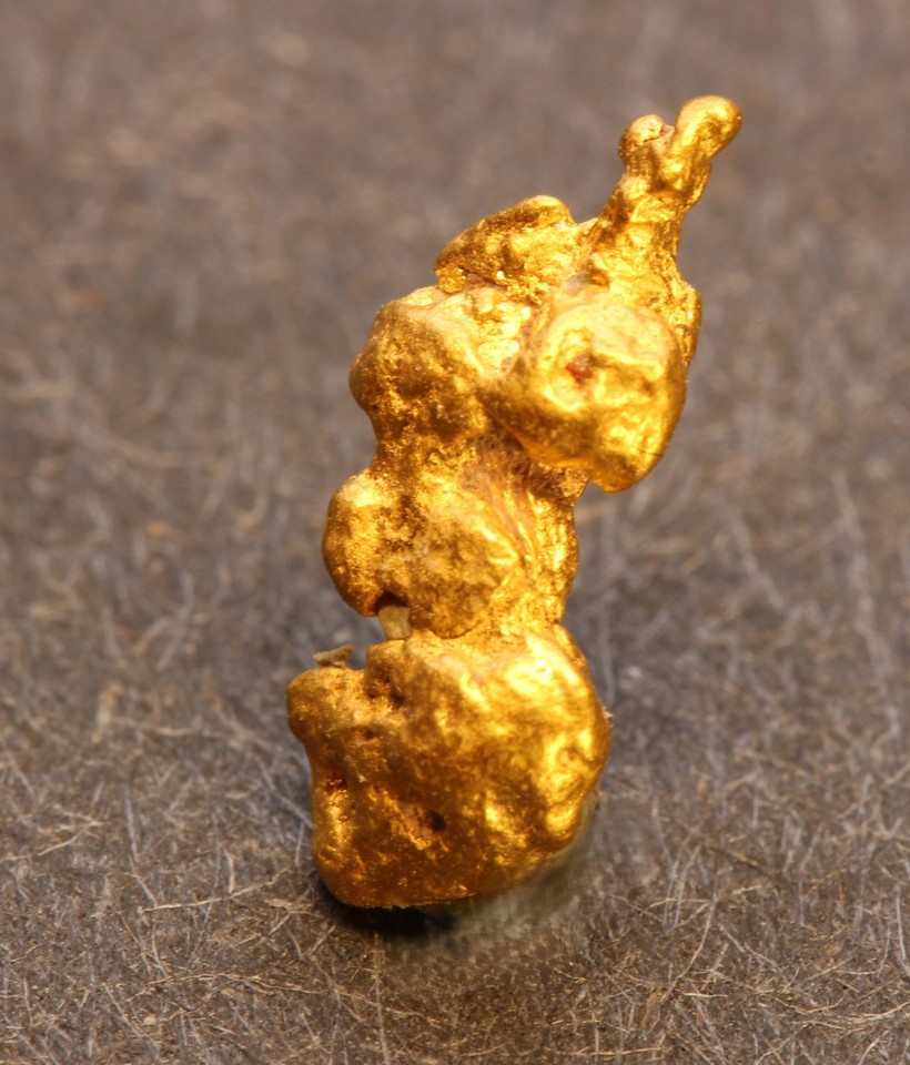 Gold nugget Small nugget in box 0.5 Gram Rose Creek M.D. Pershing Co ...