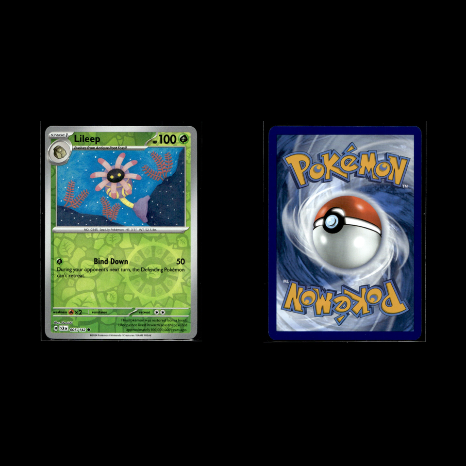 Pokemon TCG Lileep 005/142 Reverse Holo Stellar Crown NM PWETCG P190 | eBay