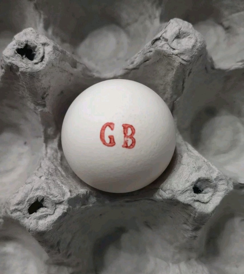 8 PURE GENE BATIA SWEATER CHICKEN HATCHING EGGS FOWL GOLDEN MONKEY GAME ...