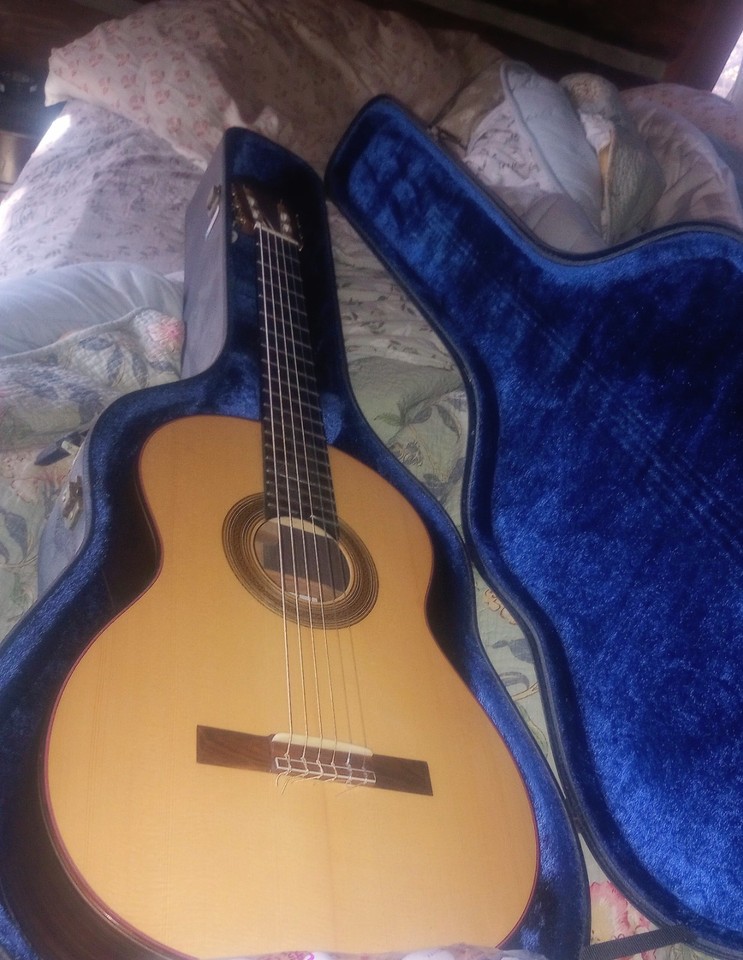 Hippner Bouchet classical guitar- Spruce/Indian. 650mm/52mm | eBay
