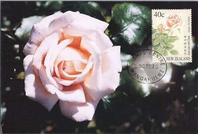 New Zealand China Joint Issue FDC Maxicard Flower Rose Zayix Stamps ...