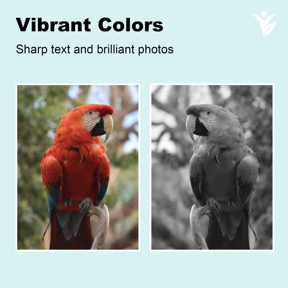 4Pack 288XL T288XL Ink Cartridges for Epson XP-240 XP-340 XP-344 XP-440 printer | eBay