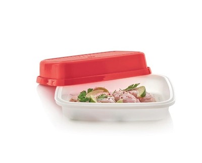 Tupperware Season-Serve Marinating Container - Free Shipping | eBay