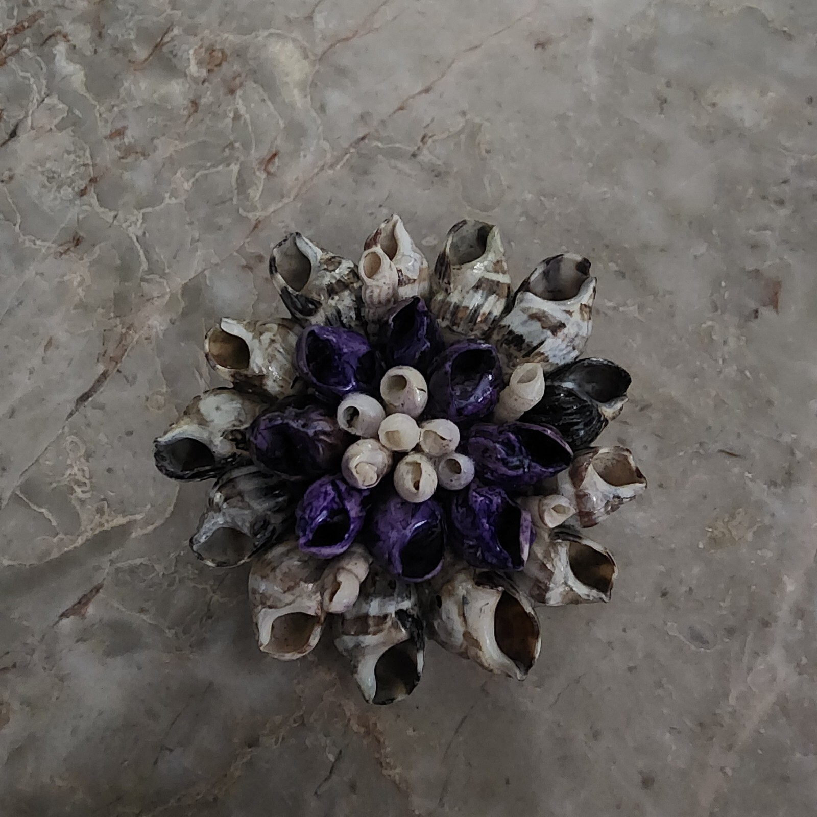 Vintage Handcrafted Shell Brooch, Seaside Brooch, 70s Retro Seaside ...