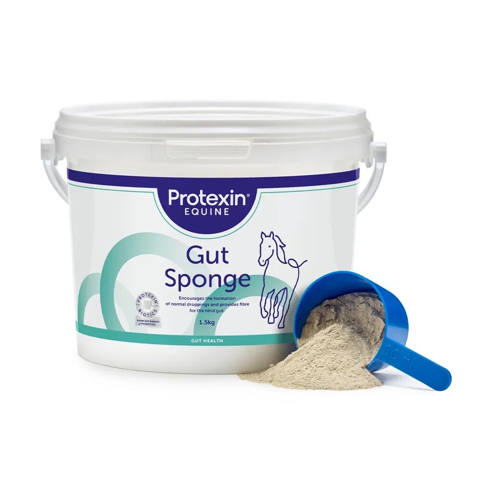 Protexin Gut Sponge Prebiotic Healthy Bacteria Horse Fibre Digestion ...
